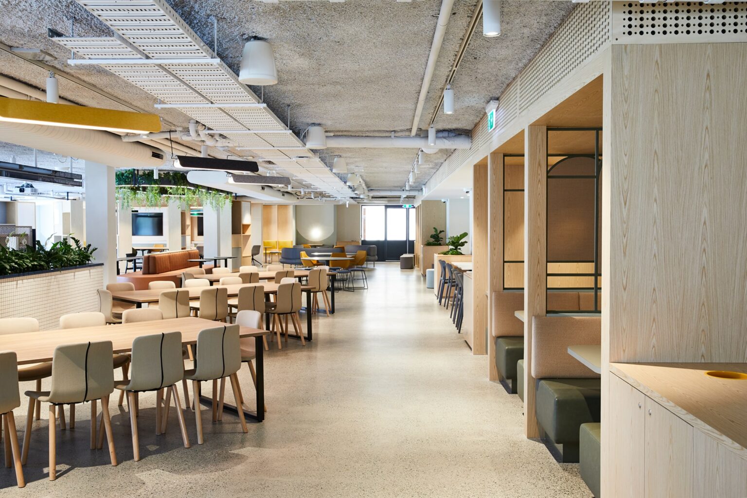 Knox Grammar School - Civic Australia